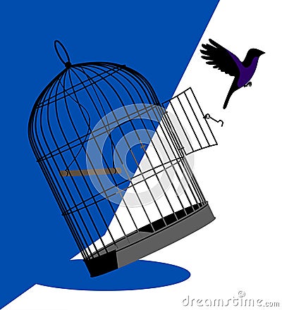 A Falling Bird Cage And A Bird Flying Out Of It, Illuminated By ...