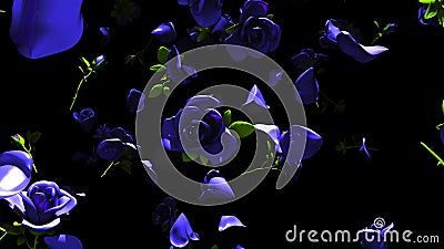 Falling Blue Roses on Black Background Stock Video - Video of ...