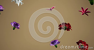3D Rendering Looping Seamless Falling Flowers From The Sky Background ...