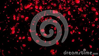 Falling Rose Petals on Black Background Stock Footage - Video of ...