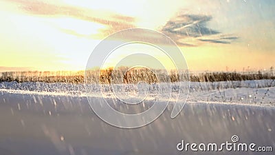 Falling Snow at Sunset. Slow Motion Stock Video - Video of glitters ...