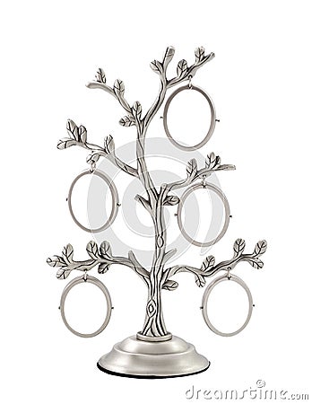 Erashov - Photographer profile