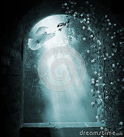 Fantastic Nocturnal Scene Royalty Free Stock Photo - Image: 20996695