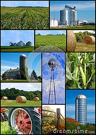 Farm Collage Royalty-Free Stock Photo | CartoonDealer.com #15900543