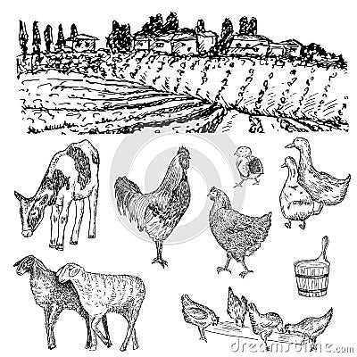 Farm Hands Drawing Cartoon Vector | CartoonDealer.com #46183095