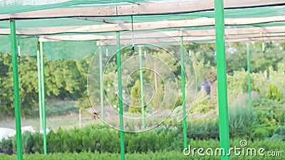 Farm Irrigation System, Growing Plants for Oxygen Production, Improving ...