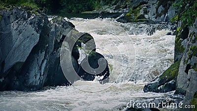 Fast Rushing River in the Wild Stock Footage - Video of nature ...
