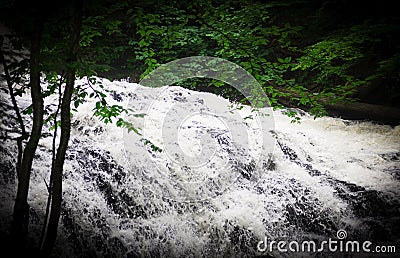 Fast Water Flow Royalty-Free Stock Photo | CartoonDealer.com #55709163