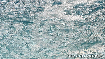 Fast Water Ripple of a Stream Stock Video - Video of color, water: 67551441