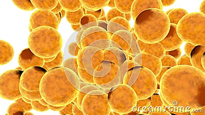 Fat Cells. Concept for Health Risk for Obesity or Dieting and Nutrition ...