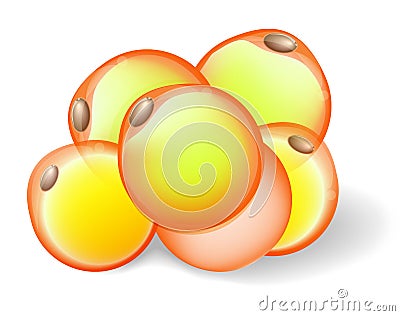 Fat Cells Vector Illustration | CartoonDealer.com #40092946