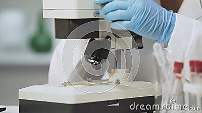 Female Bacteriologist Using Microscope for Microbiological Analysis ...