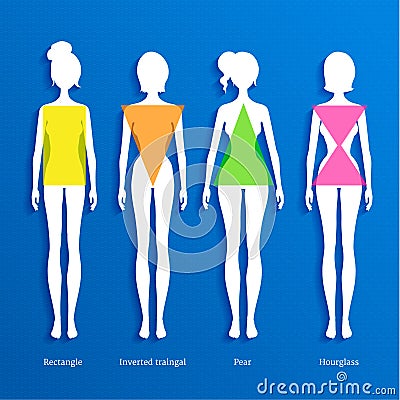Female Body Types Vector Illustration | CartoonDealer.com #52308092