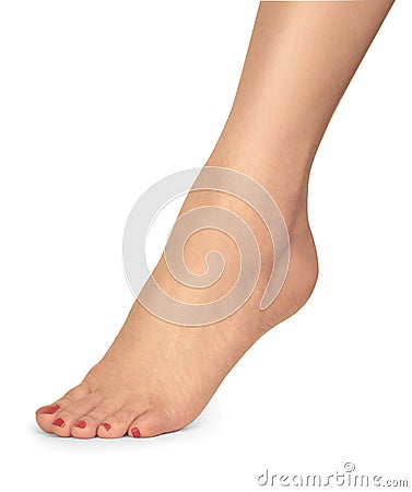 Female Foot Royalty Free Stock Image - Image: 1142936
