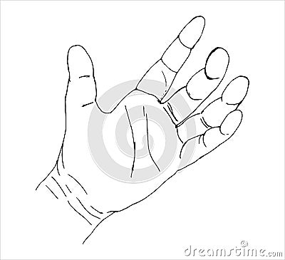 Female Left Hand. Outline. Vector Sketch Illustration. | CartoonDealer ...