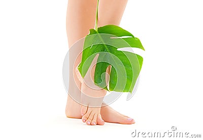 Female Legs With Green Leaf Royalty-Free Stock Photo | CartoonDealer ...