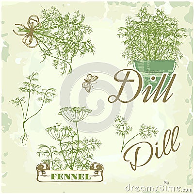 Caligraphy Stock Illustrations – 1,929 Caligraphy Stock Illustrations ...