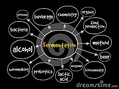 Fermentation Mind Map, Concept For Presentations And Reports Royalty ...
