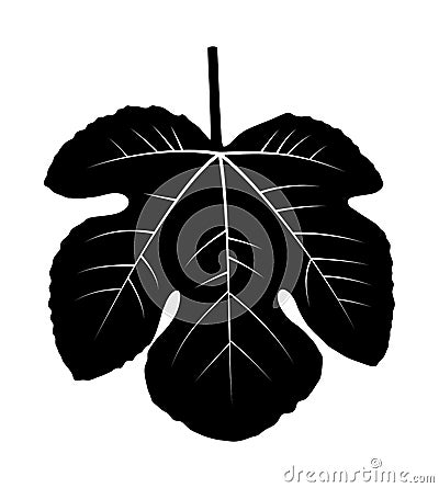 Fig Leaf Vector Illustration | CartoonDealer.com #143186144