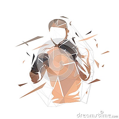 Fighter Logo, Boxing Isolated Low Polygonal Vector Illustration ...