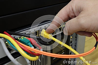 The Finger Points To The Connected UTP Cable To The Switch. Computer ...