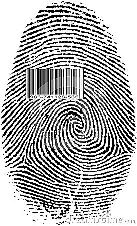Barcode fingerprint, stock vector. Illustration of crime - 13892065