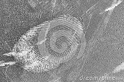 Fingerprint On The Grunge Dusty Surface Stock Photo - Image: 73558405