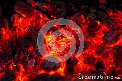 Burning paper stock photo. Image of fire, combustion - 31878846