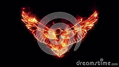 Fire Burning Eagle - Animated Logo Loop - Graphic Element Stock Video ...