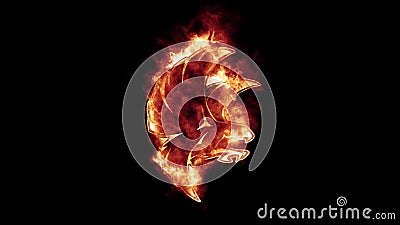 Fire Burning Hawk Eagle - Animated Logo Loop - Graphic Element Stock ...