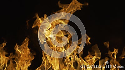 Fire Flames on Black Background. Fire Effect. Fire Burn Flame Isolated ...