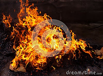 Burning paper stock photo. Image of fire, combustion - 31878846