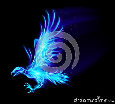 Fire Hawk. Stock Photos - Image: 34607323