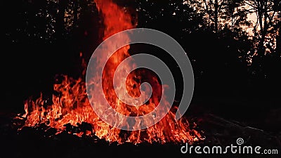 Fire Looping Isolated Seamless Loop. Looping Fire Element, SMotion Fire ...