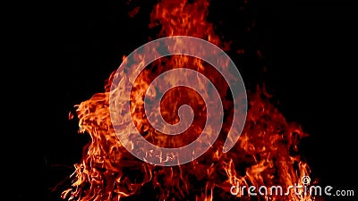 Fire Looping Isolated Seamless Loop. Looping Fire Element, SMotion Fire ...