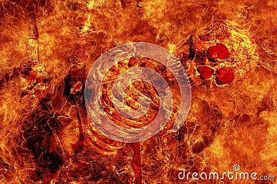 Fire Skeleton Royalty Free Stock Image - Image: 24308266