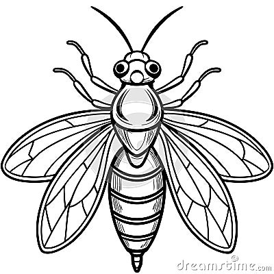 Firefly Art, Firefly Vector, Firefly Illustration, Firefly Drawing ...