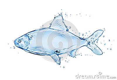 Fish Made From Water Splashes On A White Background Royalty-Free Stock ...