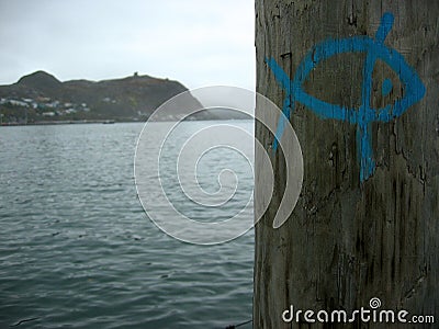 Fish Markings Stock Photography | CartoonDealer.com #7544