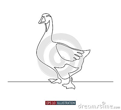 Continuous Line Drawing Of Goose. Vector Illustration. | CartoonDealer ...