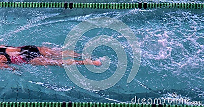 Fit Female Swimmer Doing the Front Stroke in the Swimming Pool Stock ...