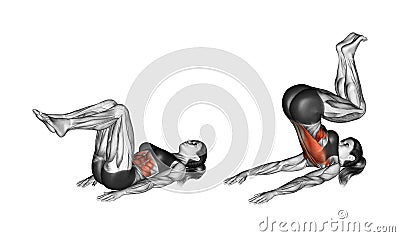 Fitness Exercising. Reverse Crunch. Female Stock Illustration - Image ...