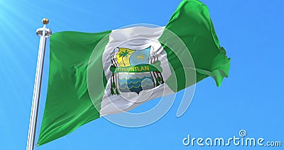 Flag of Escuintla, Guatemala. Loop Stock Footage - Video of country ...