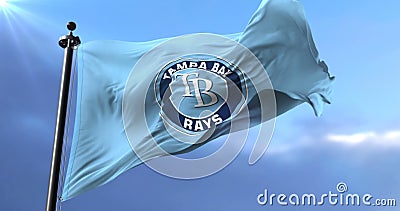 Flag of the Team Tampa Bay Rays, American Professional Baseball, Waving ...