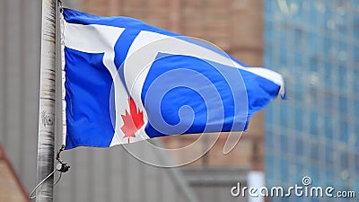 Flag of Toronto, Canada stock video. Video of blue, ensign - 102727077