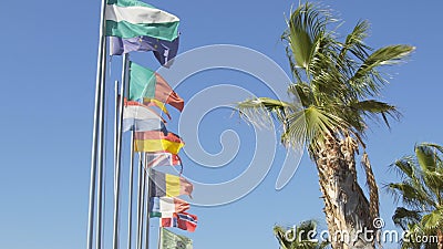 Flags Of Countries Near The Palm Trees In The Resort Stock Footage ...