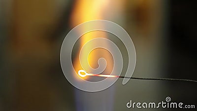 Flaming a Microbiology Wire Loop Stock Footage - Video of training ...