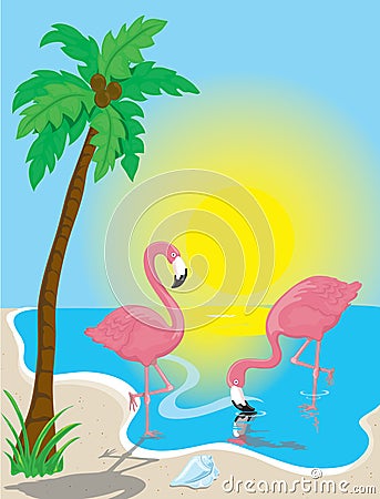 Flamingo-Strand Lizenzfreies Stockfoto - Bild: 9905865