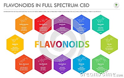 Flavonoids In Full Spectrum CBD With Structural Formulas Horizontal ...
