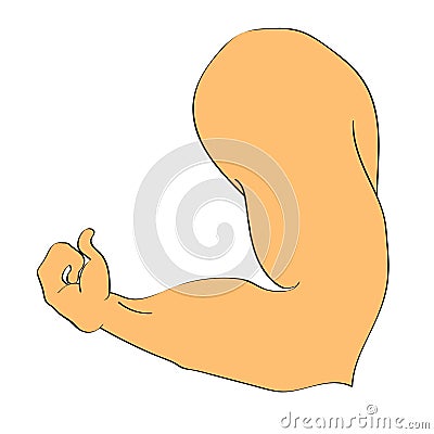 Flex Arm Bodybuilder With Big Muscles Cartoon Vector | CartoonDealer ...